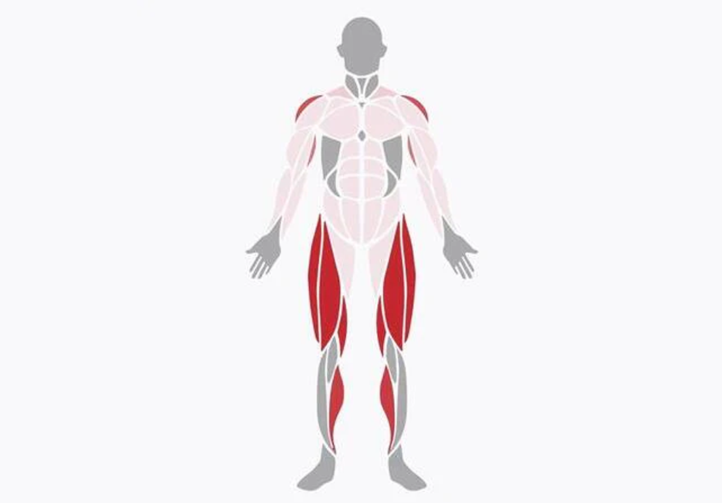 MuscleSquad Training App — HITS and Heatmap | MuscleSquad